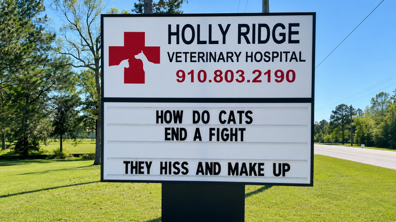 11 funny Holly Ridge Veterinary Hospital signs about pets