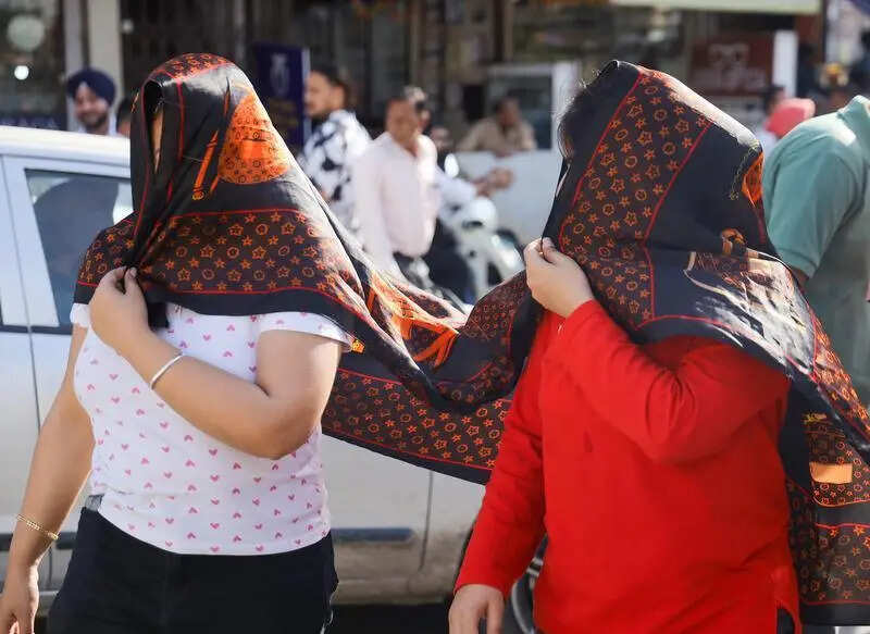 Heat wave scorches Punjab, Haryana and Himachal; Rohtak hottest at 46.9°C