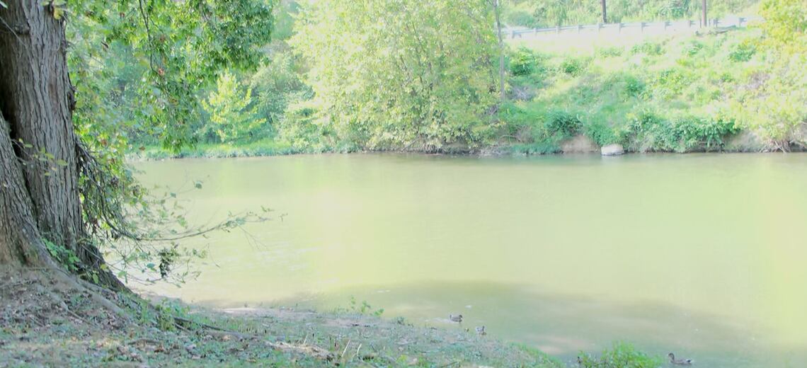 Conservation groups sue Harrison County graphite manufacturing facility ...