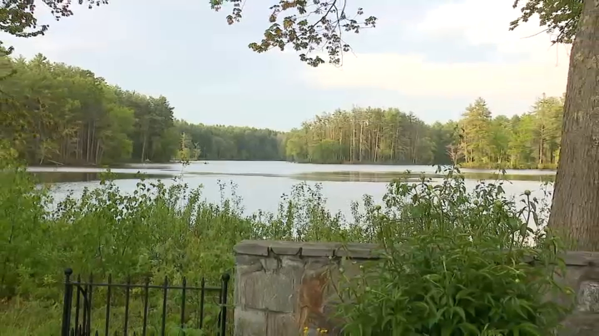 Boy pulled from pond in Andover is local middle school student ...