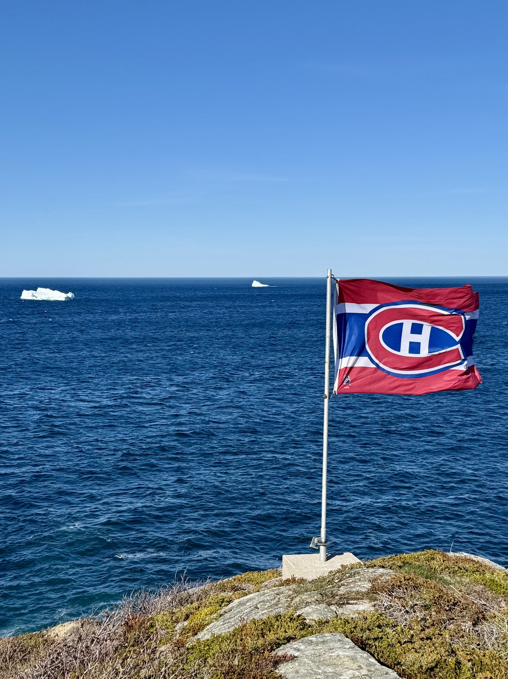 Alex Newhook fans turn NL bars into 'mini Bell Centres' during Habs ...