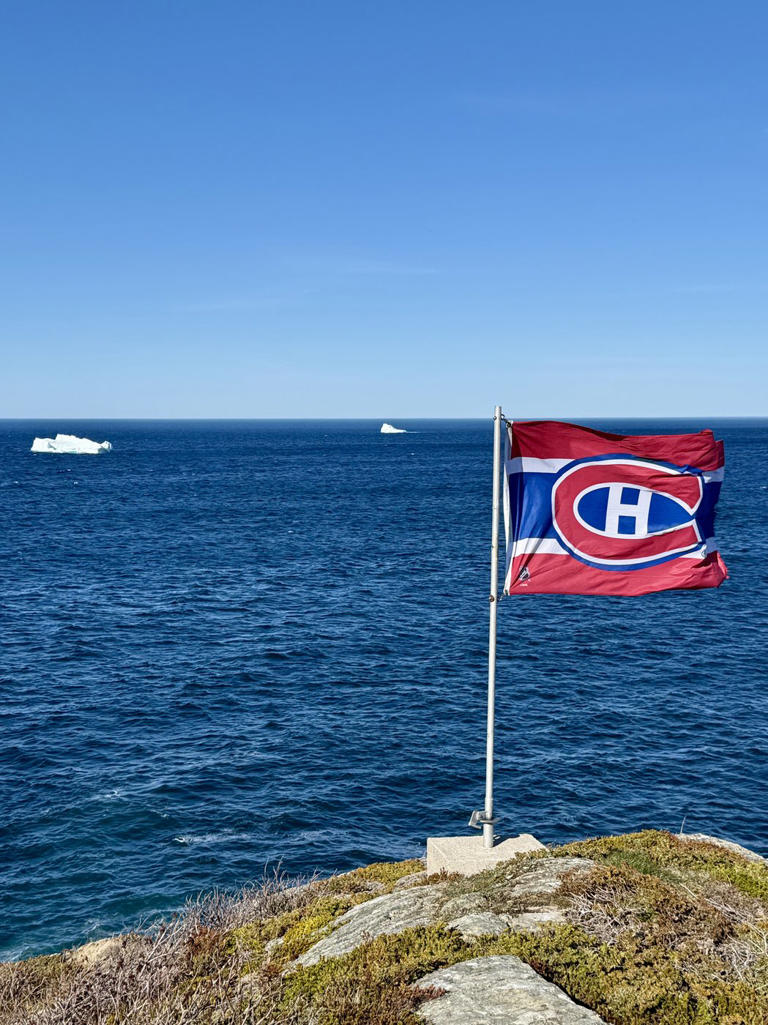Alex Newhook fans turn NL bars into 'mini Bell Centres' during Habs ...