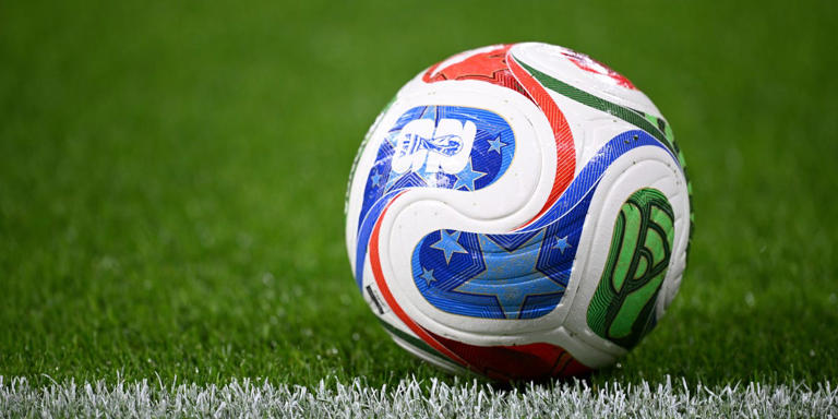 We talked to a pro turf team to find out how FIFA World Cup pitches get ...