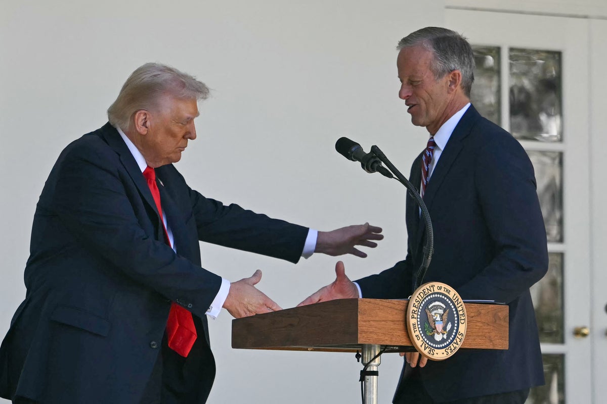 Trump warns ‘soft’ GOP and Senate leader Thune over parliamentarian