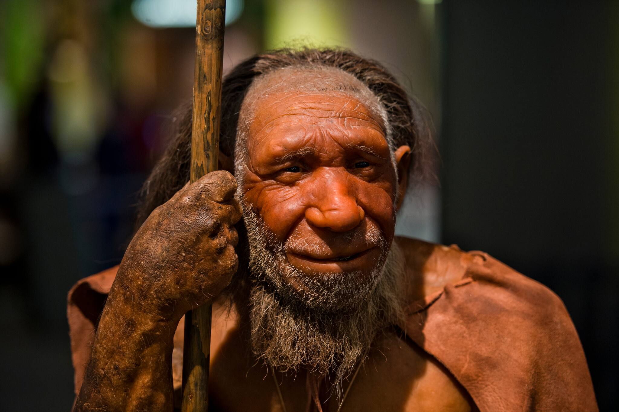 Neandertaler behandelten Karies mit Steinbohrern