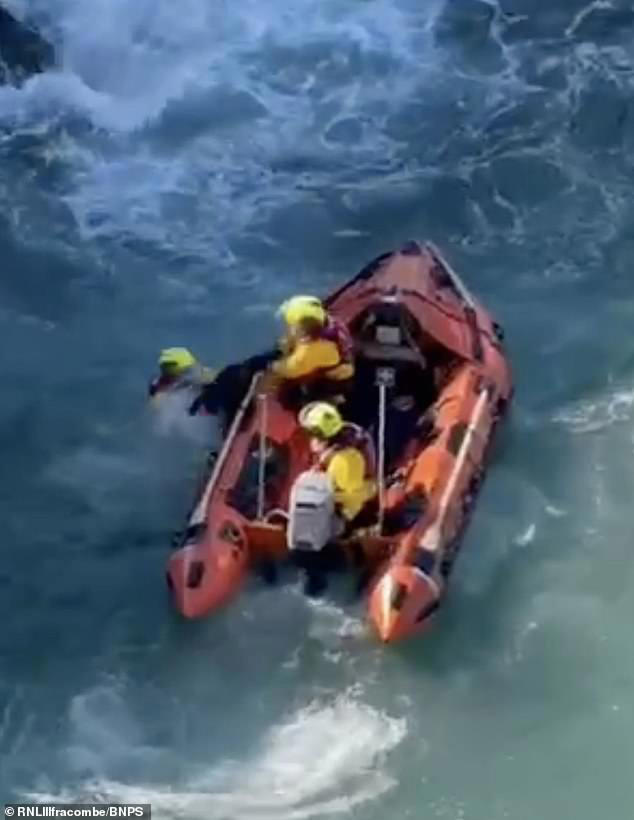 Moment stranded pet Labrador is rescued after plunging 60ft off a cliff ...