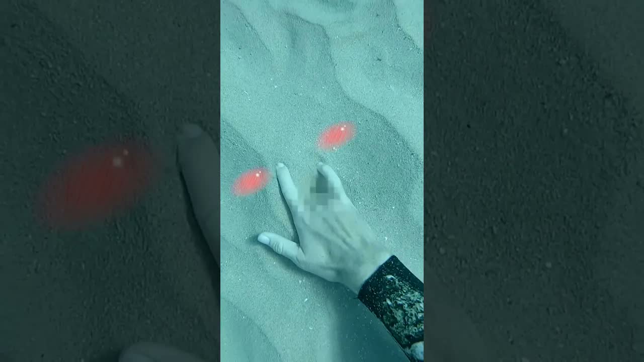 I didn’t know what it was until it moved