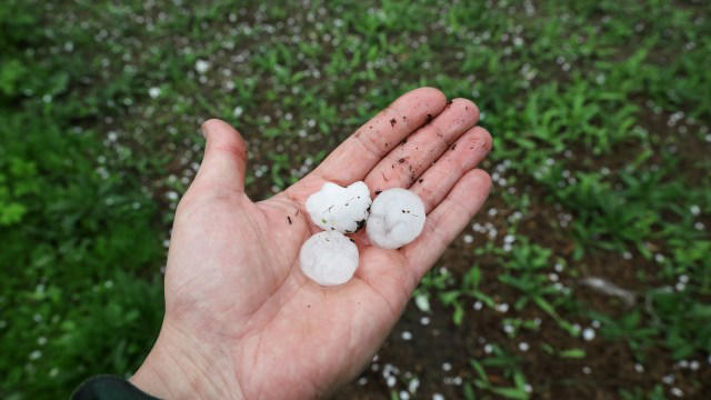Climate change could bring a sharp rise in golf ball-sized hail ...