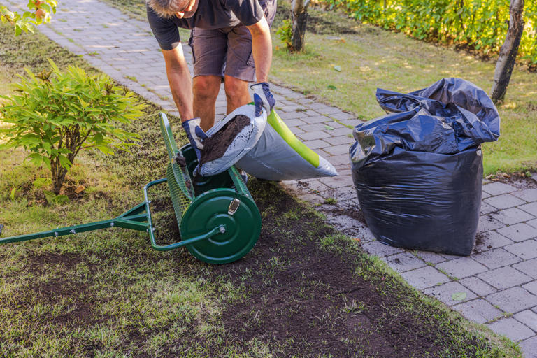 Sandy soil lawns brown first in dry spells (and how to fix it)