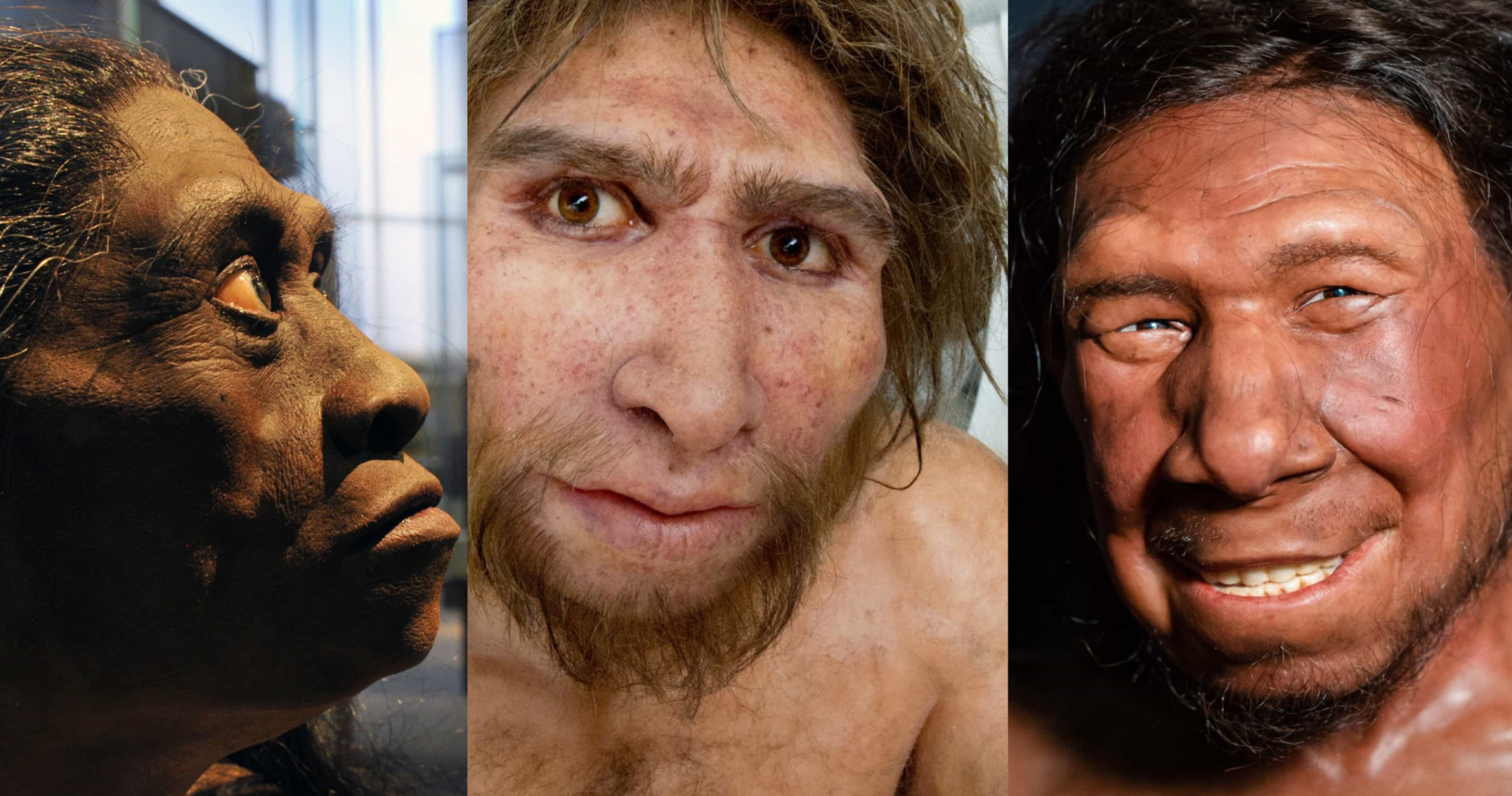 How different are we from past human species?