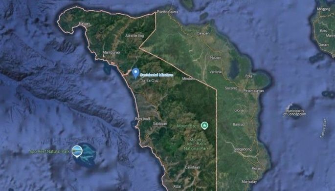 Crane collapses at Mindoro bridge project; worker killed