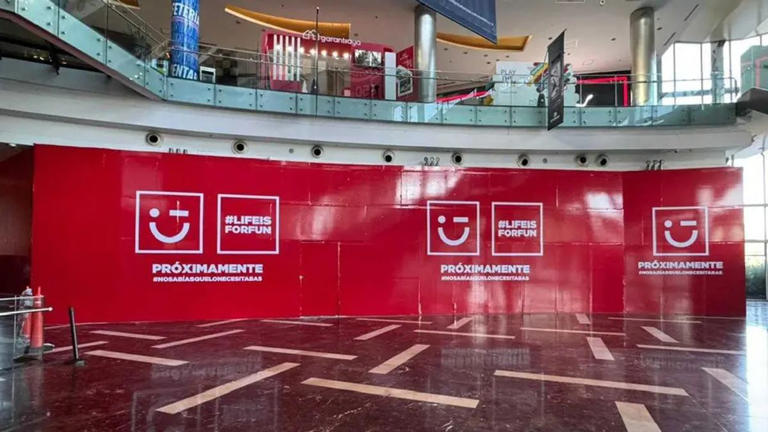 Miniso abre un nuevo local en Argentina: cuándo y dónde será la ...