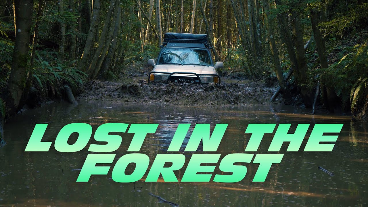 Off-road adventure: jeep vs landcruiser