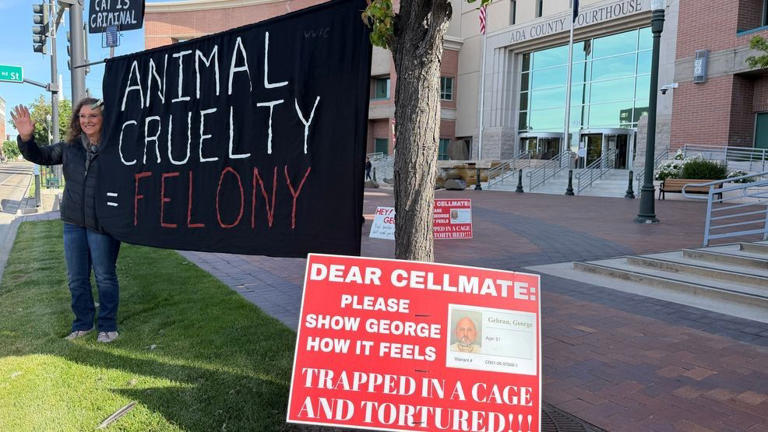 Trial set for Eagle man accused of shooting a caged cat in Garden City