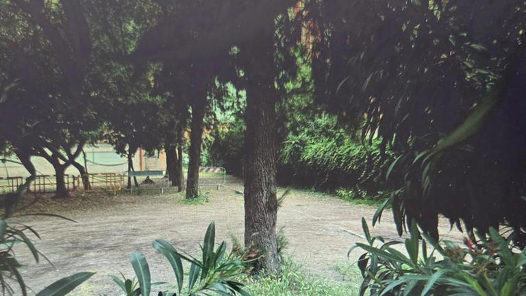 Ci sono i topi: a Quartu chiude la scuola di via Vespucci