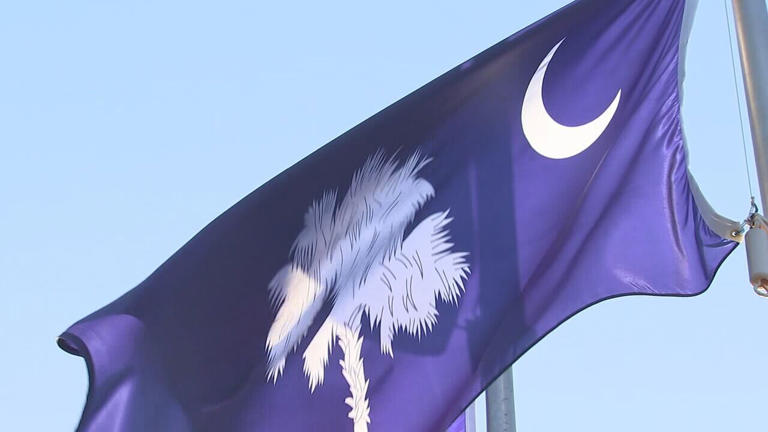 SC redistricting bill passes in the State House