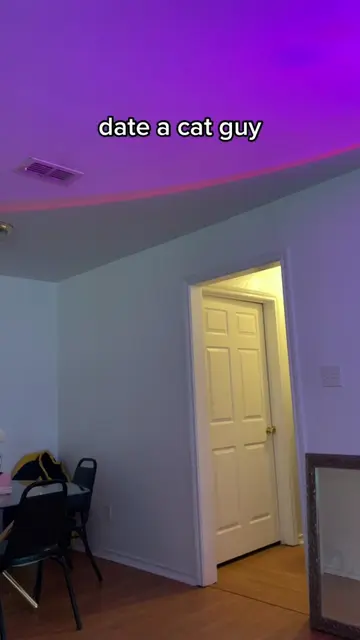 Cat dad turns moving a mattress into a cuddle train ride