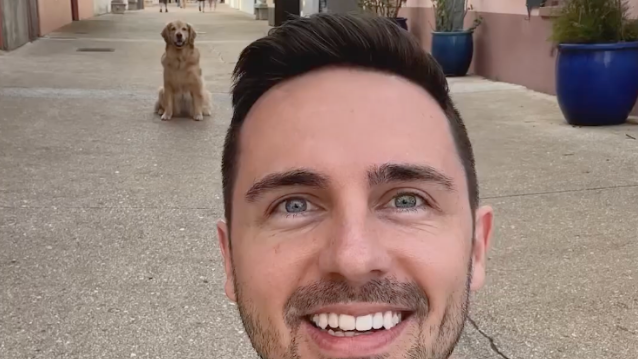 When you realize dogs can smile