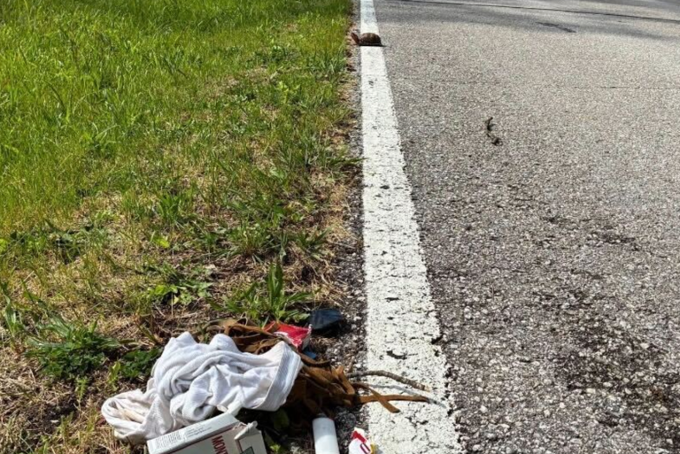 Indiana man found dancing by road with rare turtle and meth arrested
