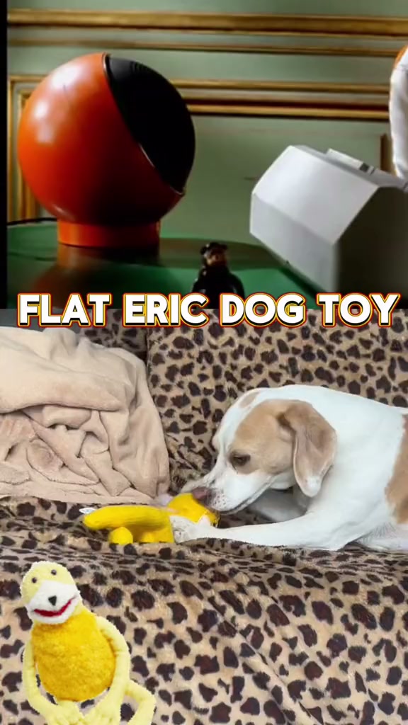 Dog puts Flat Eric toy to the test