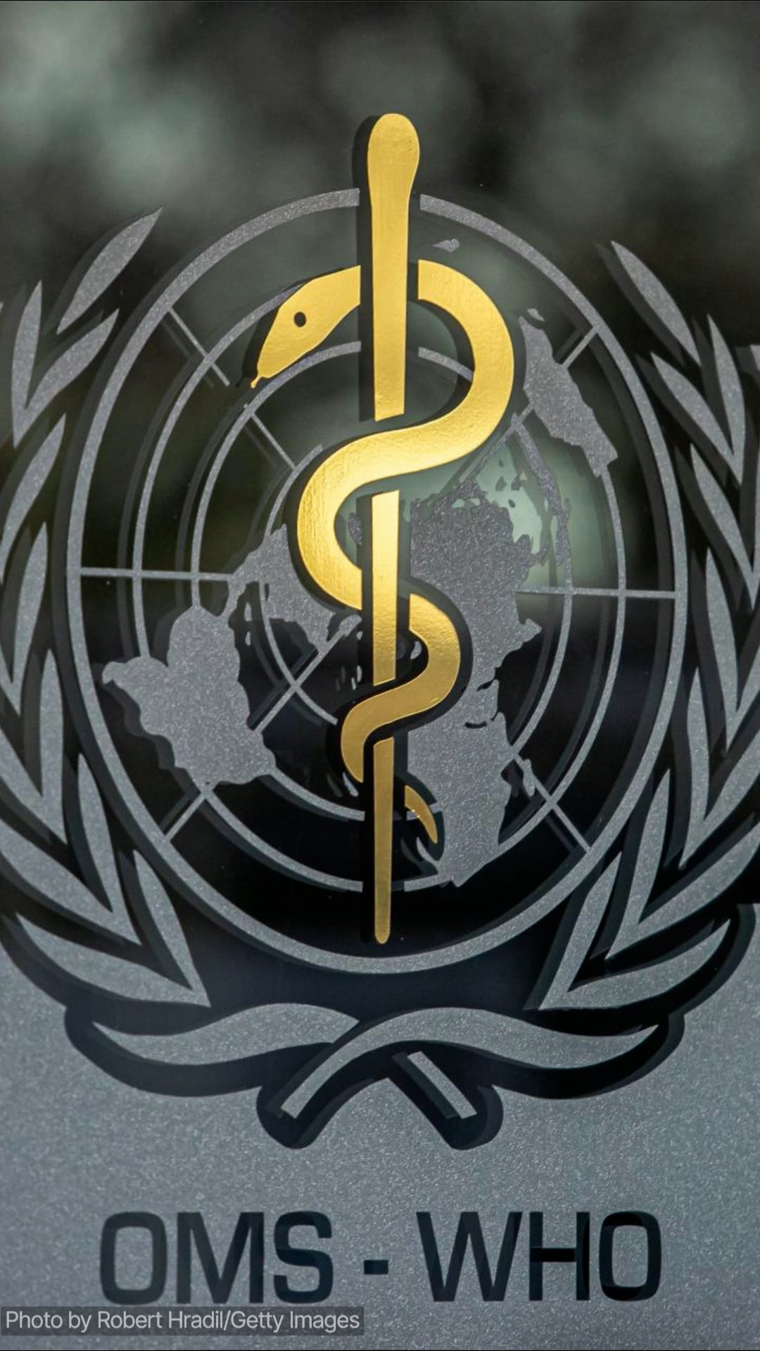 Risk of Ebola spread low globally but high locally, says WHO