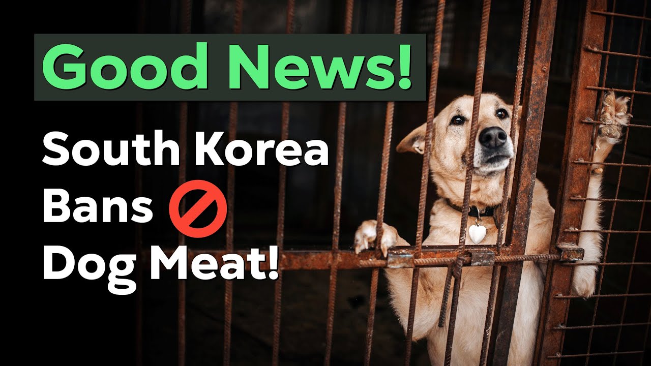 I love good news! Discover this month's highlights 🌍