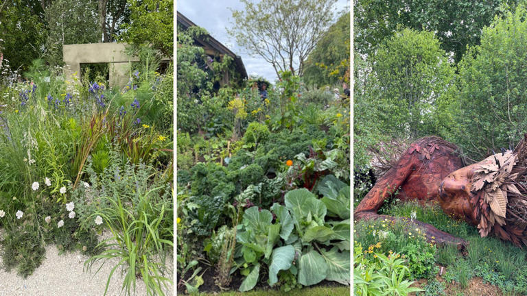 5 achievable garden trends we saw everywhere at the RHS Chelsea Flower ...