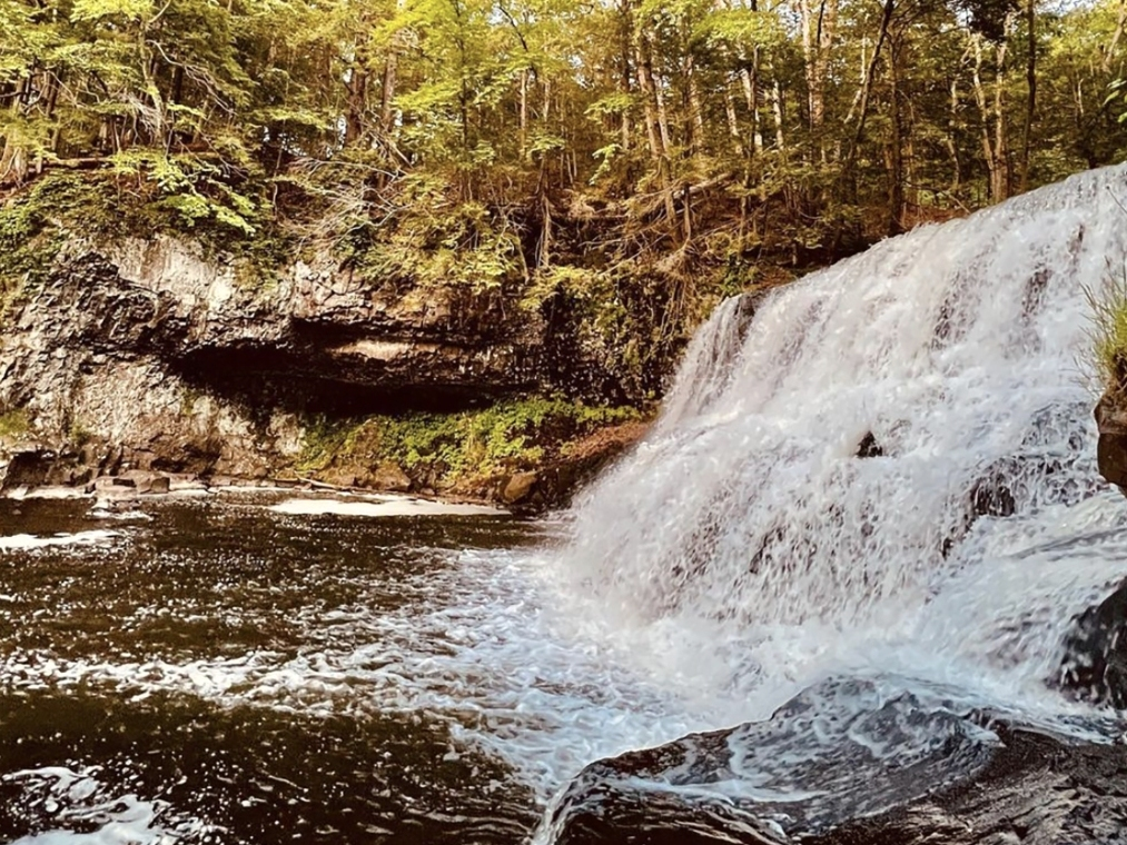 With behavior bottoming out, it's no more bottoms up at state park in ...