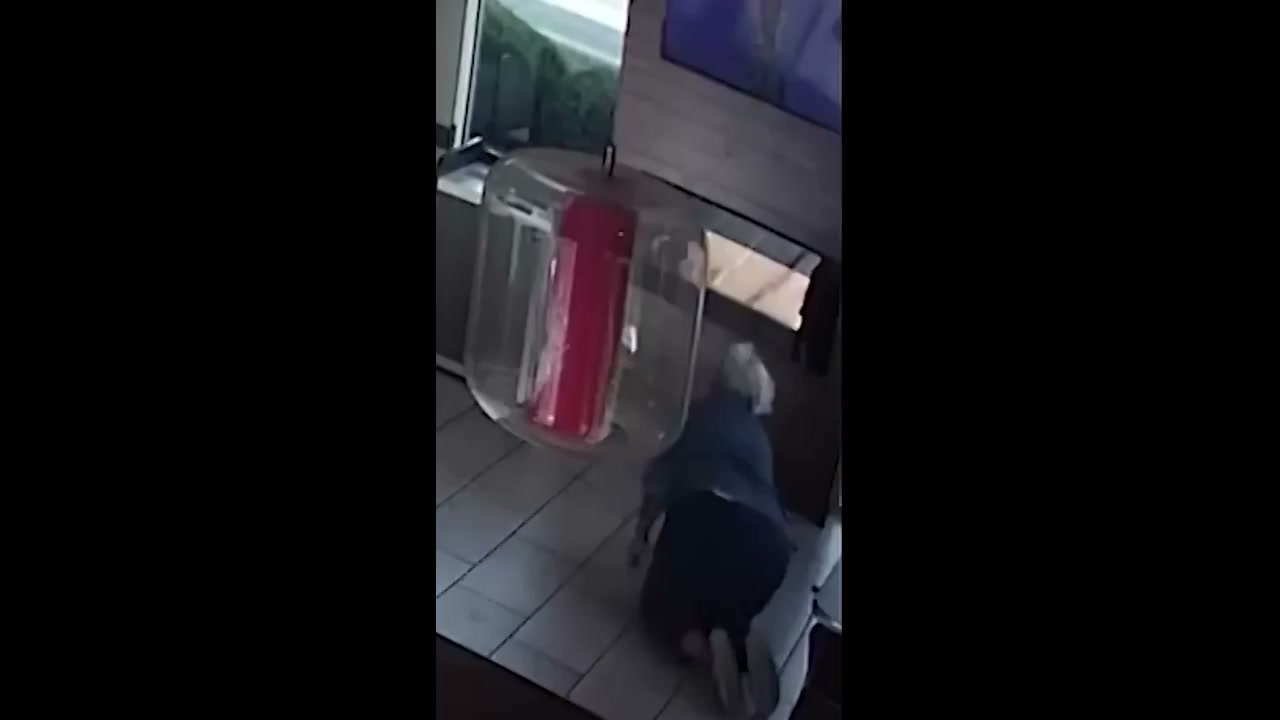 Indiana woman, 75, dies after Tim Hortons brawl