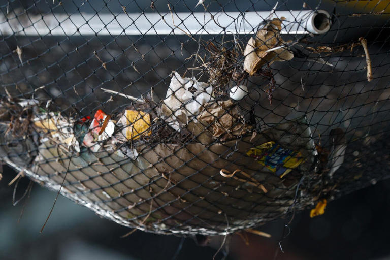 Santa Monica Pier area among the dirtiest beaches for 10th year in a ...