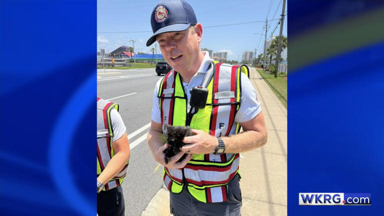 Destin Fire Rescue crews save kitten from storm drain