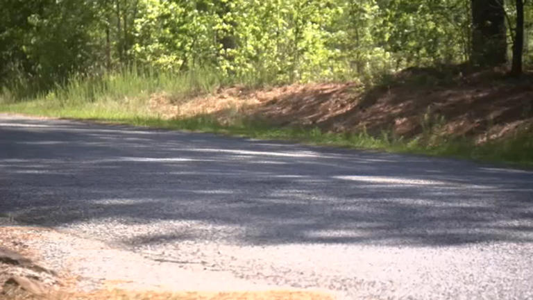 Dog owner charged in attack that left Chatham County woman dead