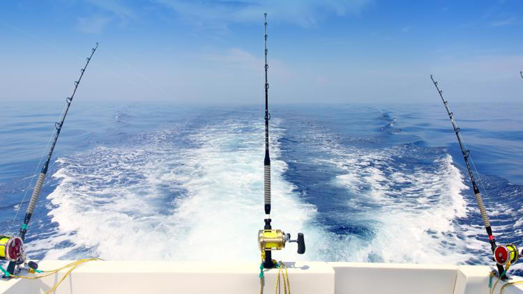 FWC restores online access to short-term non-resident fishing licenses
