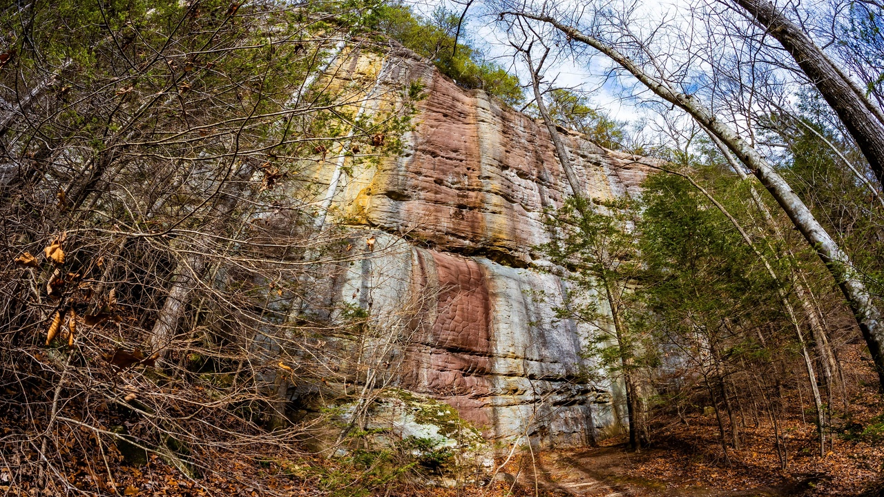 The Cumberland Plateau is hiding gorges, elk, and a frozen coal town ...