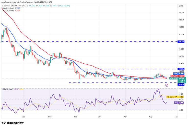 Price predictions 5/20: BTC, ETH, BNB, XRP, SOL, DOGE, HYPE, ADA, ZEC, BCH
