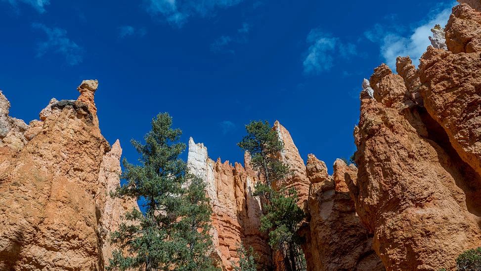 Bryce Canyon magic from rim to hoodoos