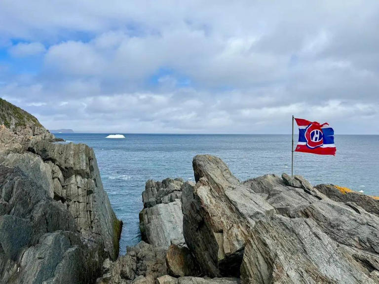 Alex Newhook fans turn NL bars into 'mini Bell Centres' during Habs ...