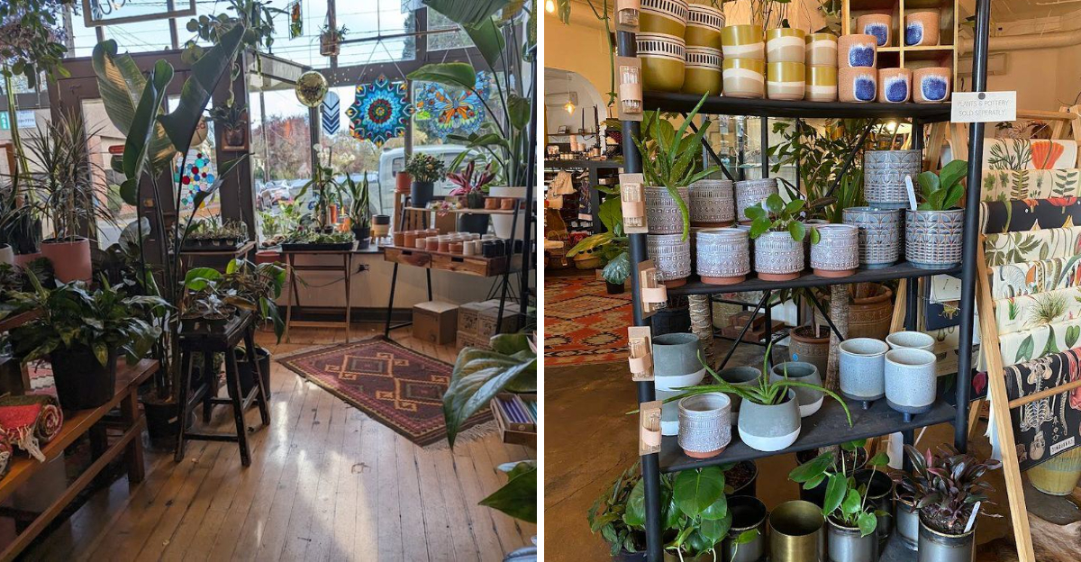 This Oregon plant shop feels more like an award-winning art studio than ...