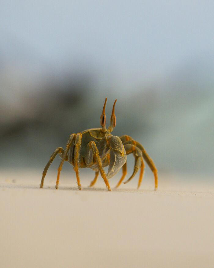 60 people share the absolute weirdest things they’ve caught a stranger ...