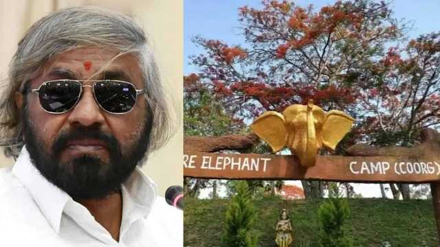 Forest department tightens safari safety norms after Dubare elephant ...