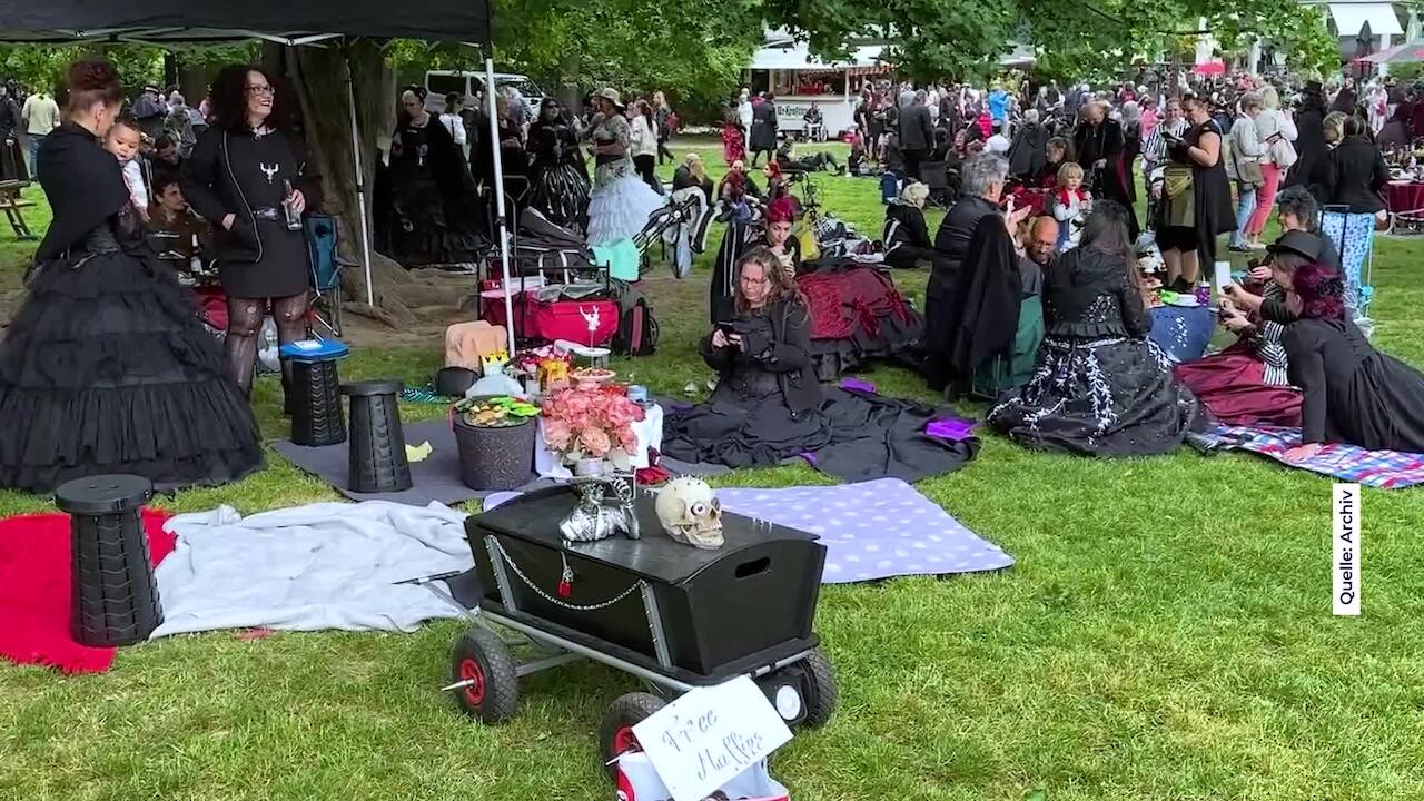 WGT 2026 in Leipzig: Was Besucher und Leipziger zum Wave-Gotik-Treffen ...