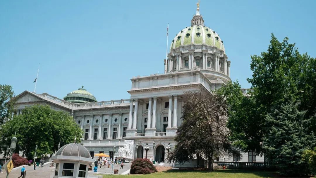Environmental advocate loses House seat as focus shifts to November
