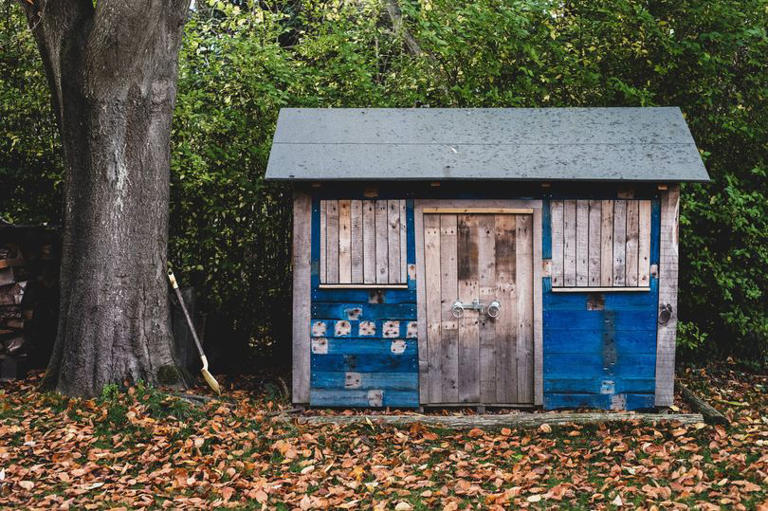What to do when a neighbour's garden shed is blocking the sun