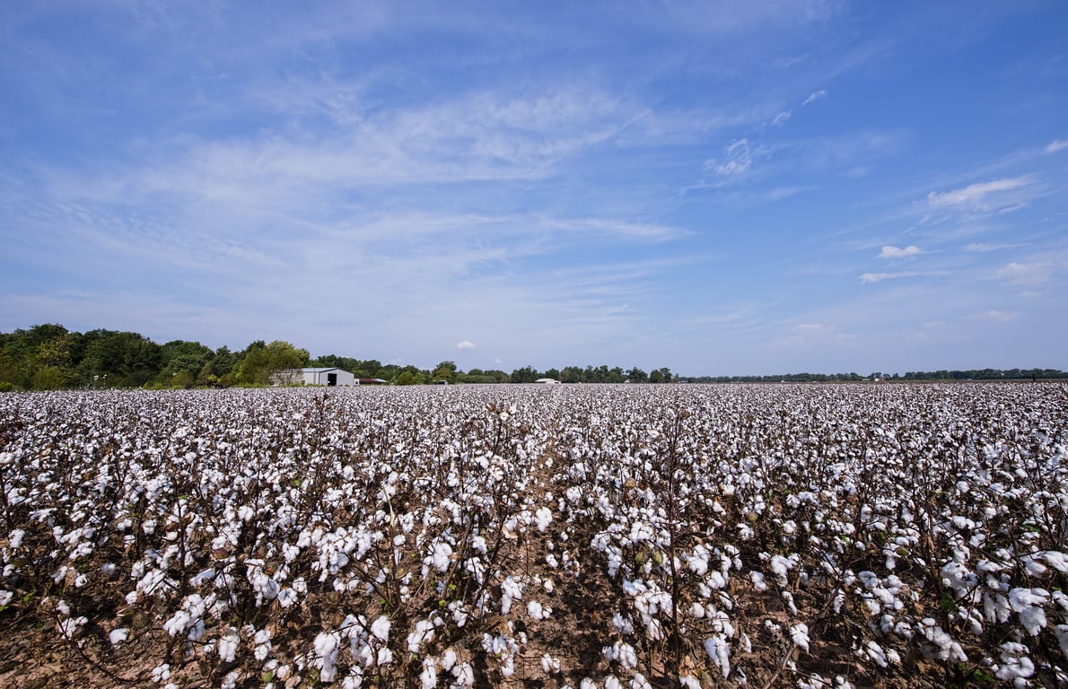 15 states where natural disasters threaten America's food supply