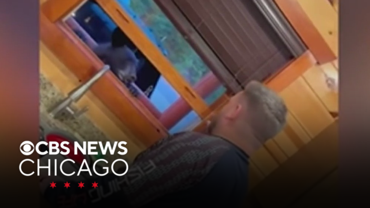 A bear-y scary situation for one vacationing family in Tennessee