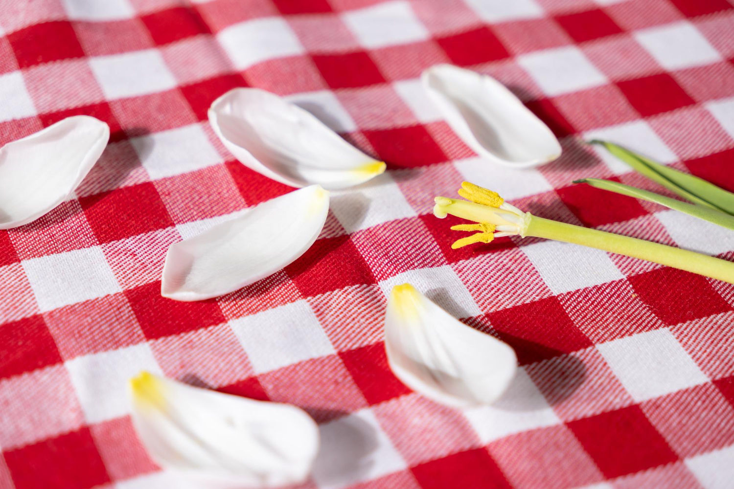 10 vanished Pizza Hut booth-and-wood-panel restaurants that defined ...