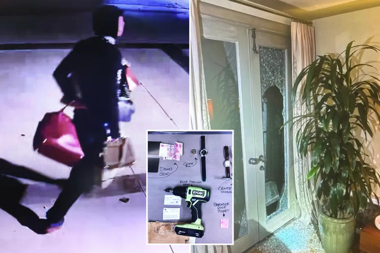 String of burglaries rocking LA residential area committed by South ...