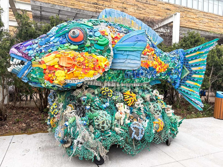 Washed ashore exhibit at Como Park Zoo and Conservatory