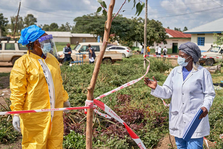 Ebola vaccine could take 6 to 9 months as suspected cases hit 600, WHO says