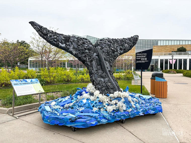 Washed ashore exhibit at Como Park Zoo and Conservatory